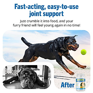 JOINTSURE Hip and Joint Supplement for Dogs 300 Tablets | Formulated with Glucosamine & Chondroitin for Dogs | Proven to Improve Mobility & Increase Flexibility | All Breeds & Sizes
