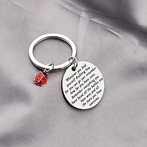TIIMG Ladybug Inspirational Keychain Ladybug Lover Gifts Good Luck Gifts For Friend Best Friend (Ladybug whenever)