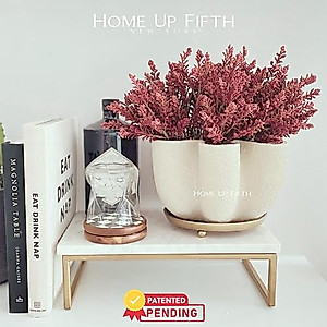 Nico Curvy Decorative Bowl Fluted Vase Scallop Home Decor for Living Room Coffee Table Styling Bookshelf and Console Organic 9 x 5 inches