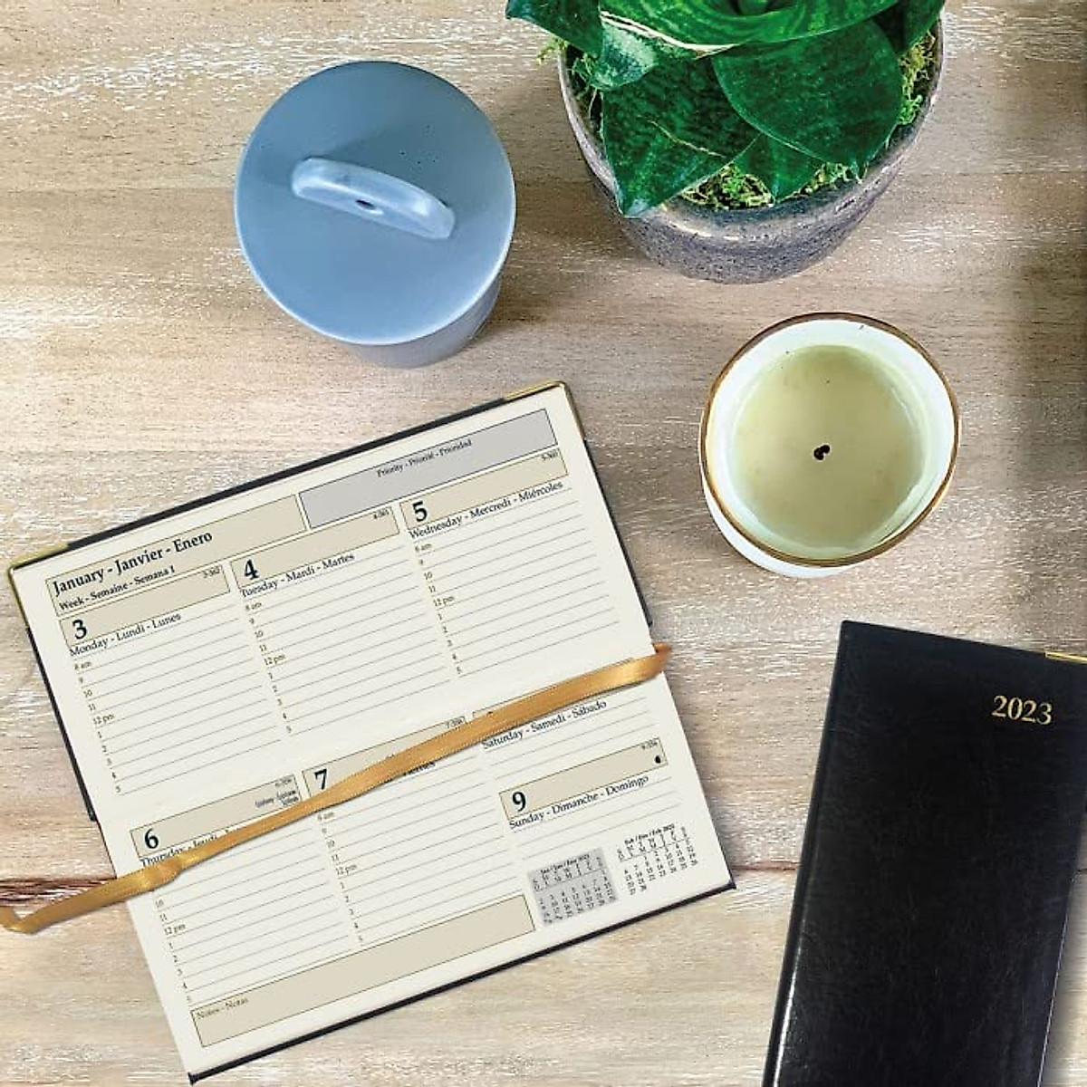 Brownline 2024 Executive Weekly Pocket Planner, Appointment Book, 12 Months, January to December, Horizontal, Sewn Binding, 6.75" x 3.1875", Trilingual, Black (CBE306-24)