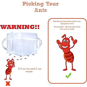 NAVADEAL Sand Ant Farm with Connecting Tubes, Habitat Educational & Learning Science Kit Toy for Kids & Adults - Allows Study of Ecosystem, Behavior of Ants, Explore The World at Home and School