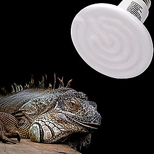 60W 2PCS PTSCBS Reptile Heat Lamp Bulb Ceramic Heat Emitter No Harm No Light Infrared Heater Lamp for Chicken Coop Lizard Aquarium Snake Outside Dogs Brooder 120V,White