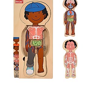 Kidzlane Boy Wooden My Body Puzzle for Toddlers & Kids - 29 Piece Boys Anatomy Puzzle Kid Play Set - Anatomy for Kids, Skeleton Toys for Kids Ages 3 Plus