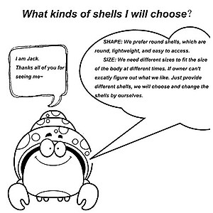 Petawi Hermit Crab Shells Large Medium XLarge Natural Growth Shells for Hermit Crab Variety Turbo Seashells Sea Conch No Painted Hermit Crab Supplies