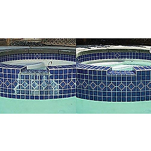 Bioclean Hard Water Stain Remover 20.3 oz