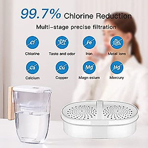 FACHIOO Water Filter Pitcher, 200-Gallons Long-Life 10-Cup Pitcher with 1 Filter, 5X Times Lifetime, Reduces PFAS, PFOA/PFOS, Fluoride, Chlorine, Rust, Microplastics, BPA Free, Clear, Lasts 3 Months