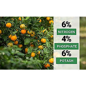 Gardenwise 6-4-6 Avocado and Citrus Tree Professional Fertilizer Plant Food for Outdoor/Indoor Gardening; Quick-Release Nitrogen Fertilizer; Orange, Lime, Avocado and Lemon Tree Fertilizer (2 QUARTS)