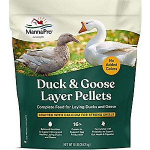 Manna Pro Duck Layer Pellet | High Protein for Increased Egg Production | Formulated with Probiotics to Support Healthy Digestion | 8 Pounds
