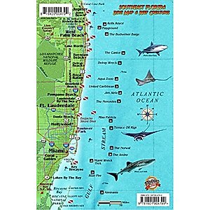 Southeast Florida Dive Map & Coral Reef Creatures Guide Franko Maps Laminated Fish Card