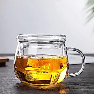 HOVOL Tea Mug with Infuser and Lid - 13.5oz Heat Resistant Borosilicate Glass, Clear Teacup with Strainer for Loose Leaf Tea, Blooming Tea, and Tea Bags - Ideal for Tea Lovers