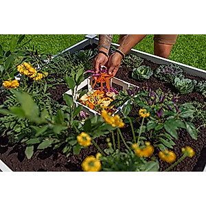 Vita Classic 4 Foot x 4 Foot x 22 inch Keyhole Garden Bed with Composting Basket, White, PVC, BPA and Pthalate Free, VT17101
