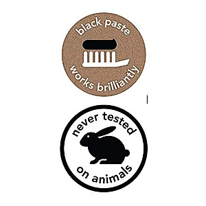 Hello Oral Care Activated Charcoal Fluoride Whitening Toothpaste, Vegan & SLS Free, 4 Ounce (Pack of 1)