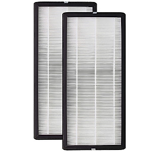XD6070 XD6075 True HEPA Filter Allergen Remover, Compatible with Rowenta PU4010 - PU4015, PU4020 - PU4025 Intense Pure Air Bedroom Auto Purifier, 2 Pack