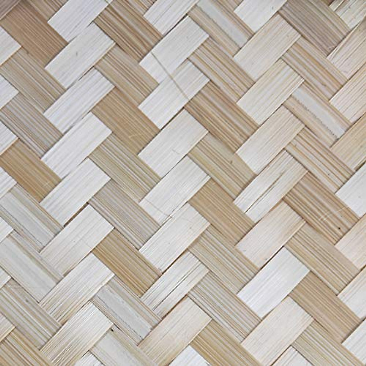 NewFerU Food Serving Tray Table Storage Plate Platter with Handles for 12" Bamboo Woven Dome Lid Cover to Keep out Bugs Flies for Picnic Party Bread Cake Pizza Dry Fruit Dessert Indoor Outdoor (1)