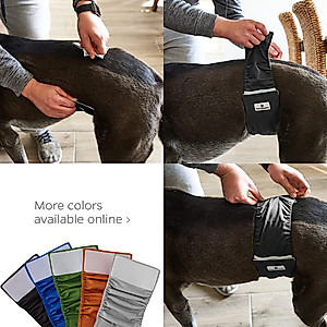 Pet Parents Premium Washable Dog Belly Bands & Extendrs, (3pack) of Male Dog Diapers, Male Dog Wraps, High Absorbing Belly Band for Male Dogs, Color: Black, Size: Extra Large Dog Belly Band