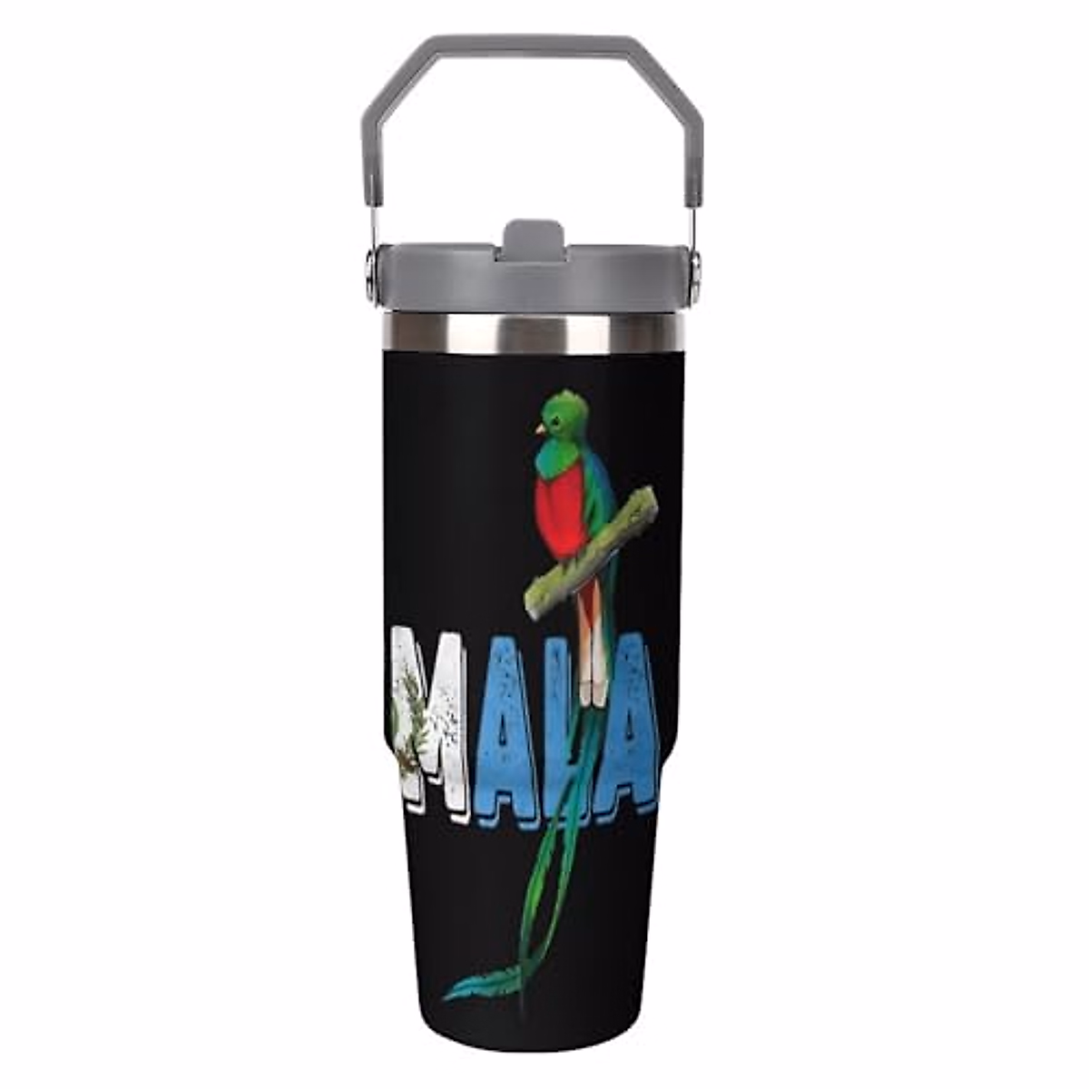 Guatemala Flag And Guatemala Quetzal Bird 30 OZ Insulated Tumblers with Handle And Straw Leakproof Vacuum Insulated Stainless Steel Water Bottle for Car Fishing Travel