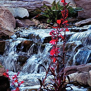 Atlantic Water Gardens TT1500 Energy Efficient Pond & Waterfall Pump, Black