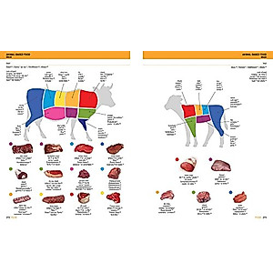 Firefly 5 Language Visual Dictionary: English, French, German, Italian, Spanish