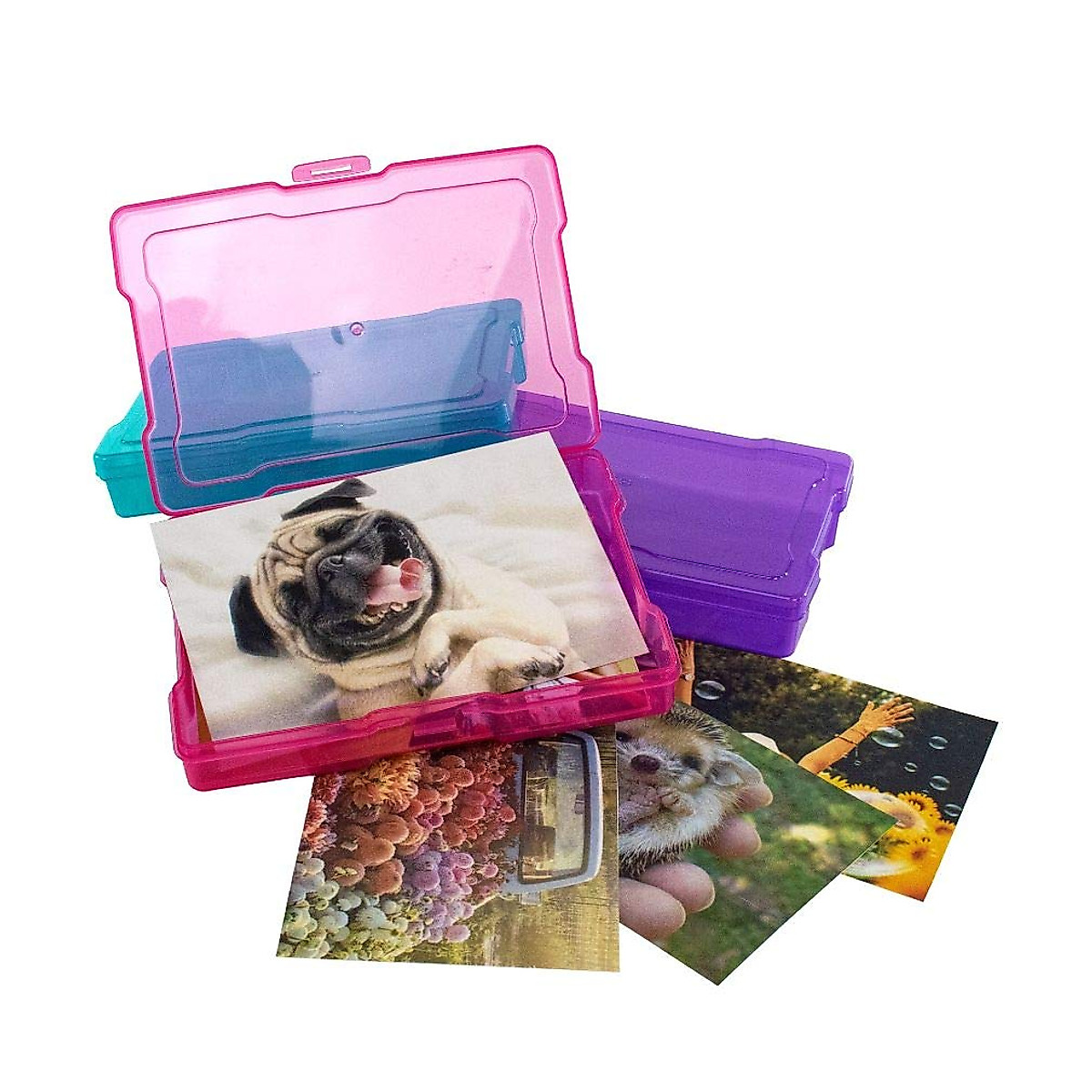 Photo and Craft Keeper – Organize Photos, Jewelry, and Scrap Paper – Holds Up to 1600 Photos (Rainbow)