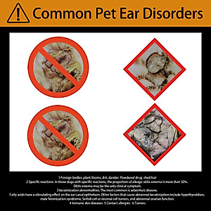 HUHKOUAE Veterinary Otoscope Kit,LED Vet Pet Cat Dog Ear Inspection, with 3X Magnifying Glass and penlight, Checking Pets Ears Eye Oral Cavity,Apply to Pets of All Ages Dogs Cats Rabbit