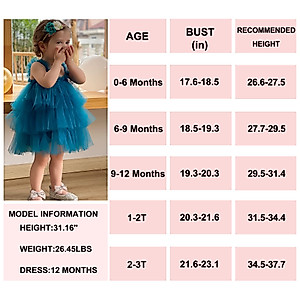 Baby Girls Toddler Tulle Tutu Dress Party Tutus Dresses with Headband Sleeveless Sundress 12 Months Blush Pink