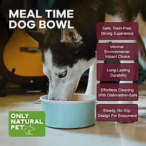 Only Natural Pet Meal Time Pet Bowl Dog Food Bowl - 50% Plant-Based, Eco-Friendly, BPA & Phthalate-Free, No-Slip Bottom, Dishwasher Safe, Ideal for Large-Sized Dogs - Teal, Large 7.5" x 2"