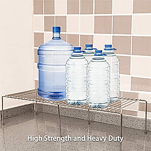 Tomorotec Stainless Steel Expandable Kitchen Storage Organizer Spice Rack Cabinet Organization Shelves Heavy-Duty Rustproof Shelf, Adjustable Durable Rack Space Saving Countertop Drawer Cabinet Pantry