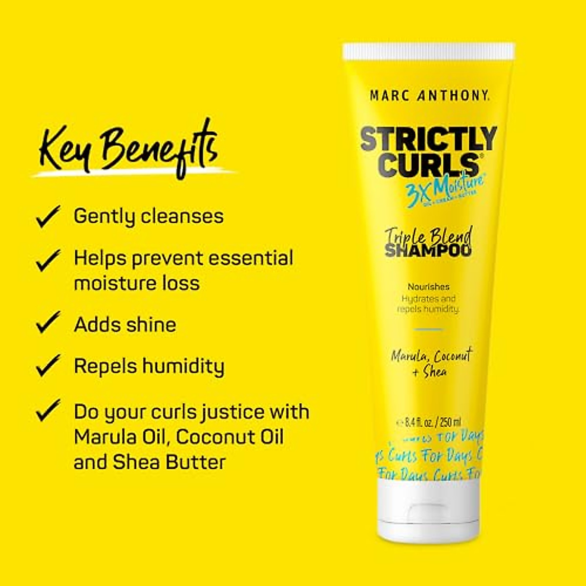 Marc Anthony Curly Hair Shampoo, Strictly Curls - 3x Moisture For Curl Defining & Curl Enhancing - Shea Butter, Marula Oil, Aloe Vera & Coconut Cream - Sulfate Free & Color Safe For Dry Damaged Hair