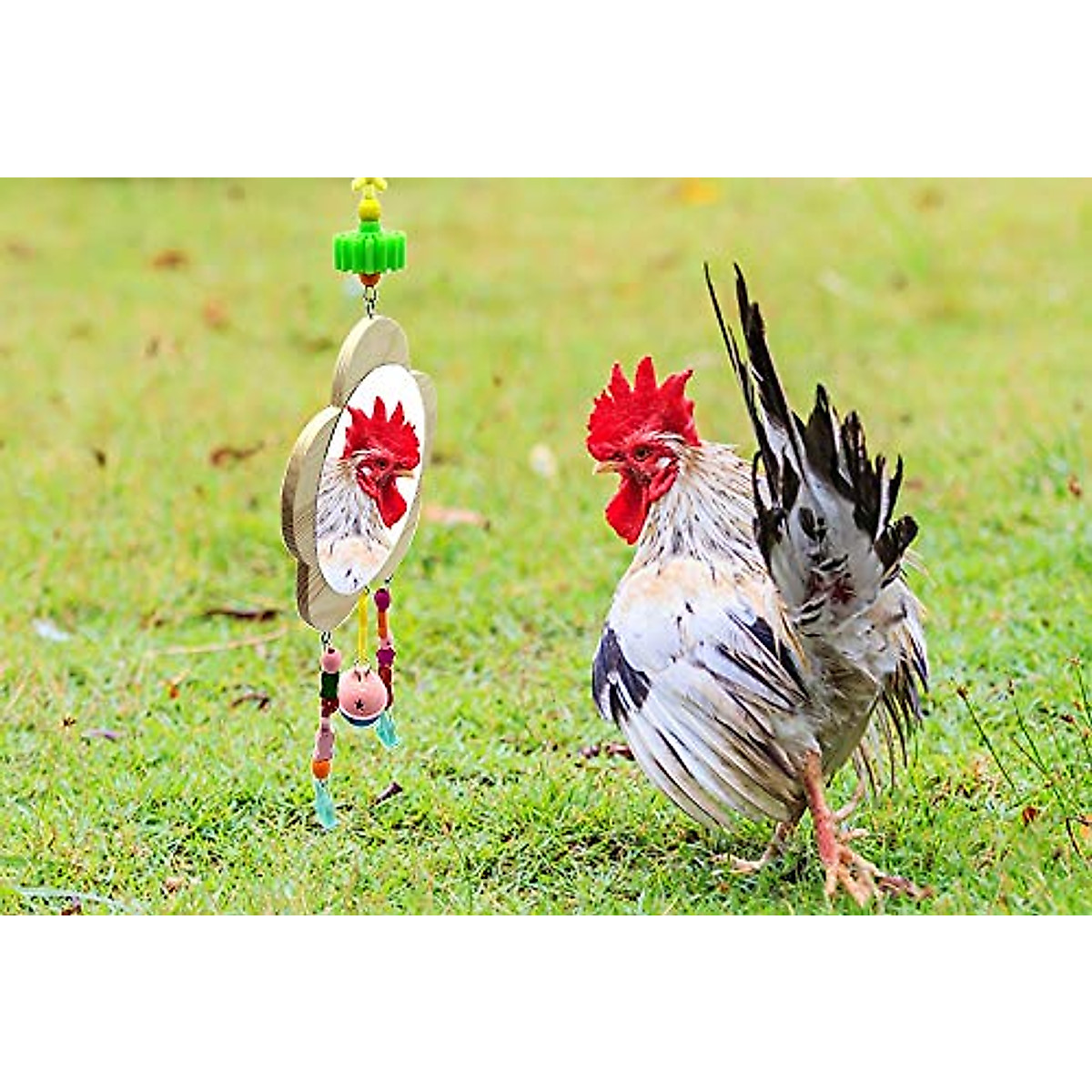 Vehomy Chicken Toys for Hens with Mirrors Chicken Wood Mirror Toy with Bell for Chicks Hens Roosters