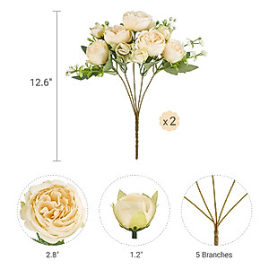 Mkono Peonies Artificial Flowers, Small Silk Flowers for Home Decor Indoor 2 Bundles Fake Bouquet Faux Floral Arrangements Dining Table Centerpieces for Kitchen Bridal Wedding Party Decor, Champagne