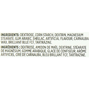 Wilton Dino Cupcake Decorating Kit