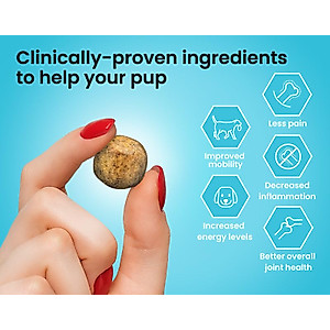 Dogtor Box Vet-Formulated All-Natural Joint Supplement for Dogs with Glucosamine, Chondroitin, MSM, Collagen - 120 Soft Chews Proudly Made in USA