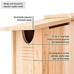 WHITEHORSE Large Cedar Owl House - Premium and Weatherproof Design - 16" x 12" x 11" - A Nesting Box for Screech Owls, Northern Pygmy, Kestrel and Other Species