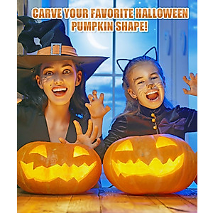 FUNNYB&G Pumpkin Carving Tools Kit Halloween - 16 PCS Professional Pumpkin Carving Set For Kids Or Adults - 8 PCS Stainless Steel Carving Tools Halloween Decoration Stickers and LED Pumpkin Lights