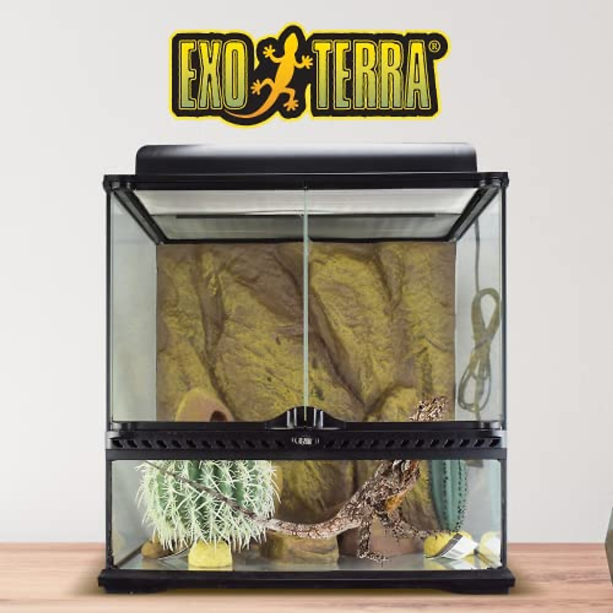 Exo Terra Desert Habitat Kit, Reptile Terrarium Starter Kit, Medium, PT2652A1