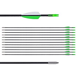 CUPID 31" Training Arrows-Archery Practice Target Arrows with Durable Shaft Blunt Tip for Kids Youth or Beginners on Recurve Bow Long Bow (12pcs Arrows, Green)