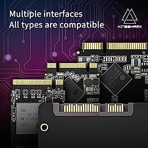 Kingshark gamer SSD M.2 2280 64GB Ngff Internal Solid State Drive High-Performance Hard Drive for Desktop Laptop SATA III 6Gb/s (64GB, M.2 2280)