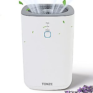 Air Purifier Large Room Home, Dual 3 Stage H13 True HEPA Air Filter, 3 Fans Speed, Up to 430ft² Purification, Quiet Sleep Mode, 99.97% Against For Pollen Dust Smoke Pet Hair Odor