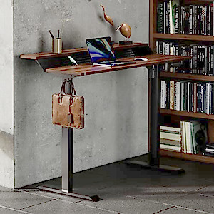 Fenge Standing Desk,55x24 Inches Electric Height Adjustable Stand up Desk,2 Tier Sit Stand Home Office Desk,Memory Computer Standing Table Ergonomic Workstation