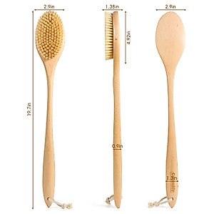 Bath Brush 19.7inch Long Handle Bristle Body Scrubber, Exfoliating Shower Brush Improve Skin's Health Beauty, Back Brush for Men& Women &Elderly