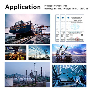 DORLAND EX Tablet09 10.1" Android 13.0 Tablet, Octa-Core 8GB+256GB, Intrinsically Safe Tablet, 20000mAh Rugged Tablet, IP68 Waterproof Tablet, Dual SIM, GPS, OTG 33W Fast Charging, Black