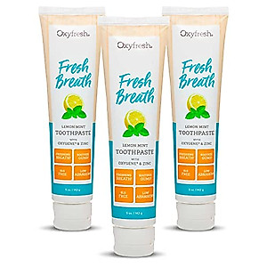 Premium Oxyfresh Maximum Fresh Breath Lemon Mint Toothpaste - Clean Teeth & Fresh Breath - Natural Essential Oils & Natural Xylitol to Help Fight Tartar - SLS & Fluoride Free, 3-5oz