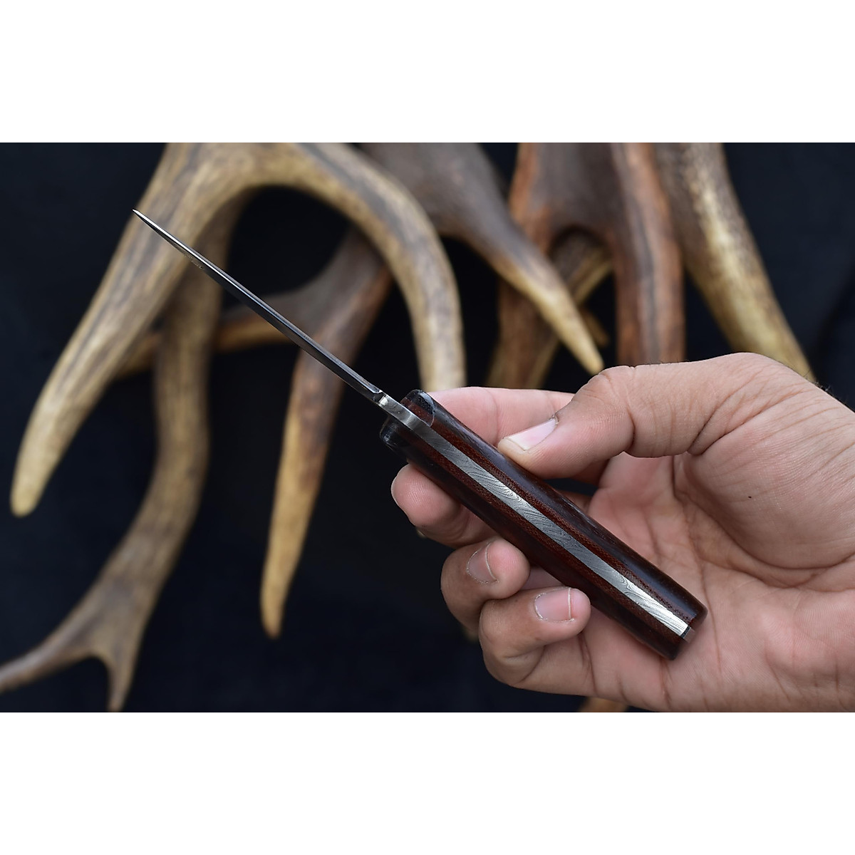 Knives Ranch 7" Fixed Blade EDC Knife with Sheath - Damascus Steel Hunting Knife - Full Tang - Rosewood Handle - Horizontal Carry Leather Sheath Snug Fit (3056-IRW)