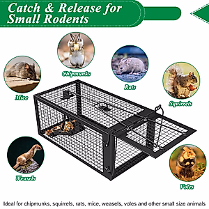 2 Packs Humane Rat Trap Outdoor Mouse Traps Indoor Use, Rodent Chipmunk Traps for Small Live Animal Catch and Release - Black