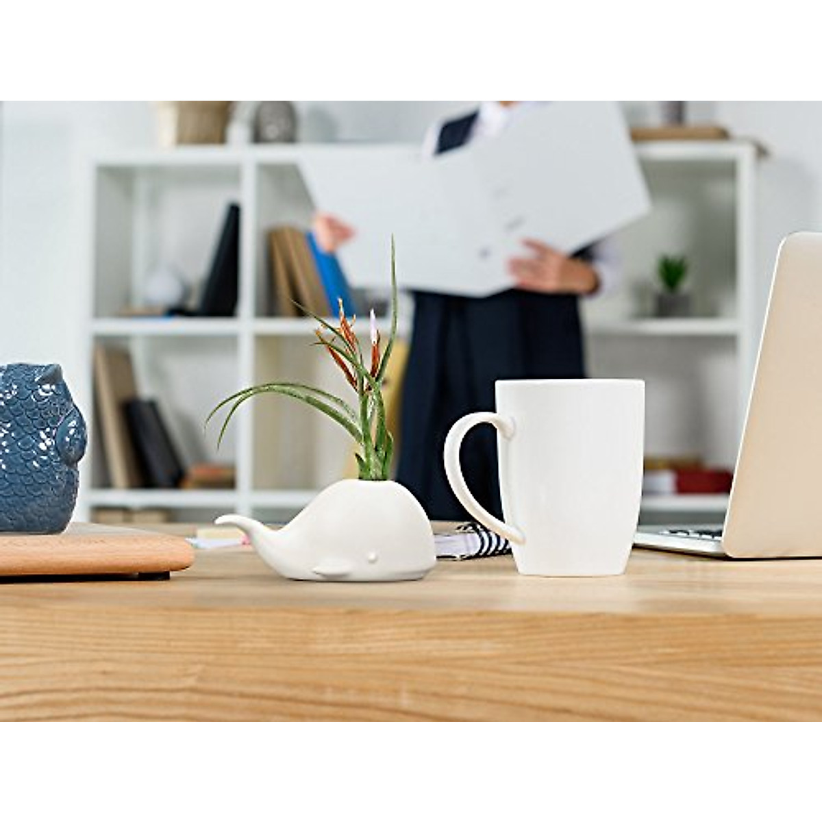 Genuine Fred Fancy Ceramic Mini Air Plant/Succulent Holder, regular, Whale