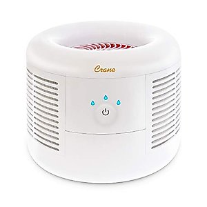 Crane Air Purifier with Hepa Type Filter Protection, White