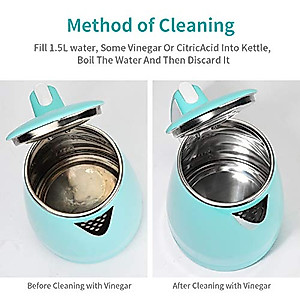 MEISON Electric Kettles Stainless Steel Interior, Double Wall Hot Water Boiler Heater, Cool Touch Electric Teapot Heater Kettle, Auto Shut-Off and Boil-Dry Protection, Cordless, 1.5L, 2 Year Warranty (1.5L)