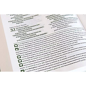 Nueva Versión Internacional Biblia del Pescador, letra grande, verde tapa dura | NVI Fisher of Men Bible, Large Print, Green, Hardcover (Spanish Edition)