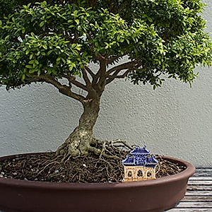 Angoily 5 Pcs Ceramic Pavilion Ornaments Stupa Statue Good Luck Statue Pagoda Garden Statue Aquarium Artificial Mini Fairy Household Decor Pavilion Model Bonsai Ceramic Pagoda Ceramics