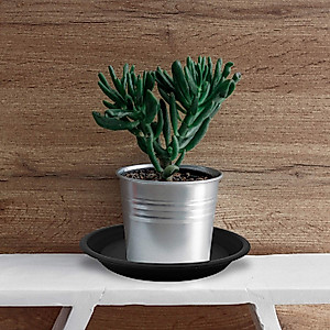 JOYSEUS Plant Saucer - 12 inch - 4 Pack Durable Plastic Plant Tray for Plant Pots, Thick Plant Saucer for Outdoor & Indoor Plants